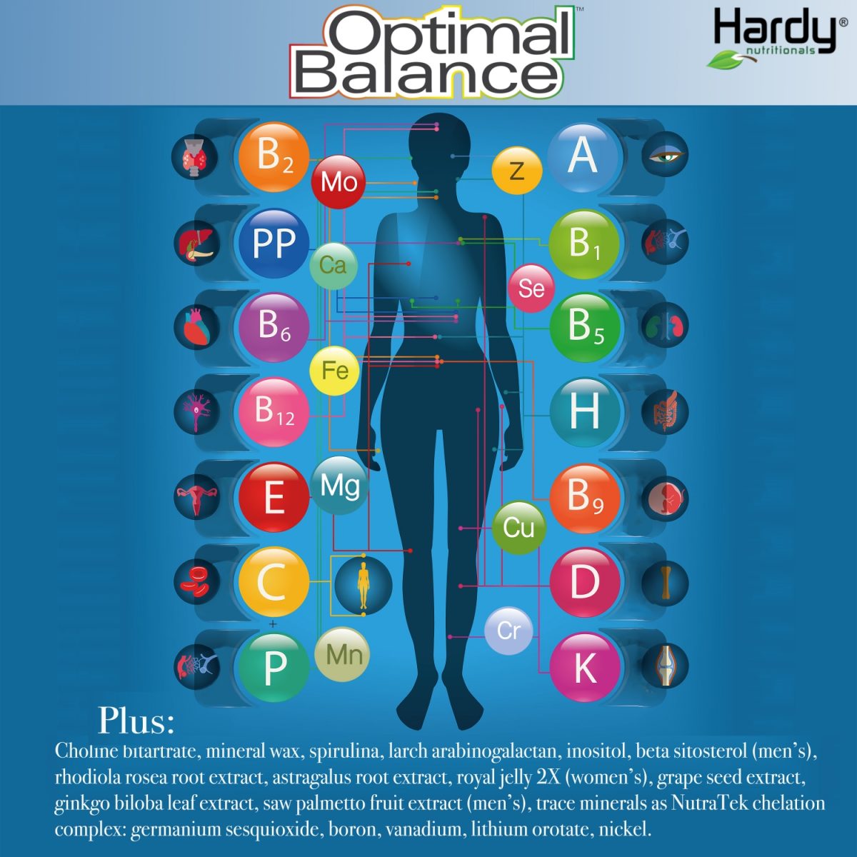 Prenatal draft 1 - Hardy Nutritionals
